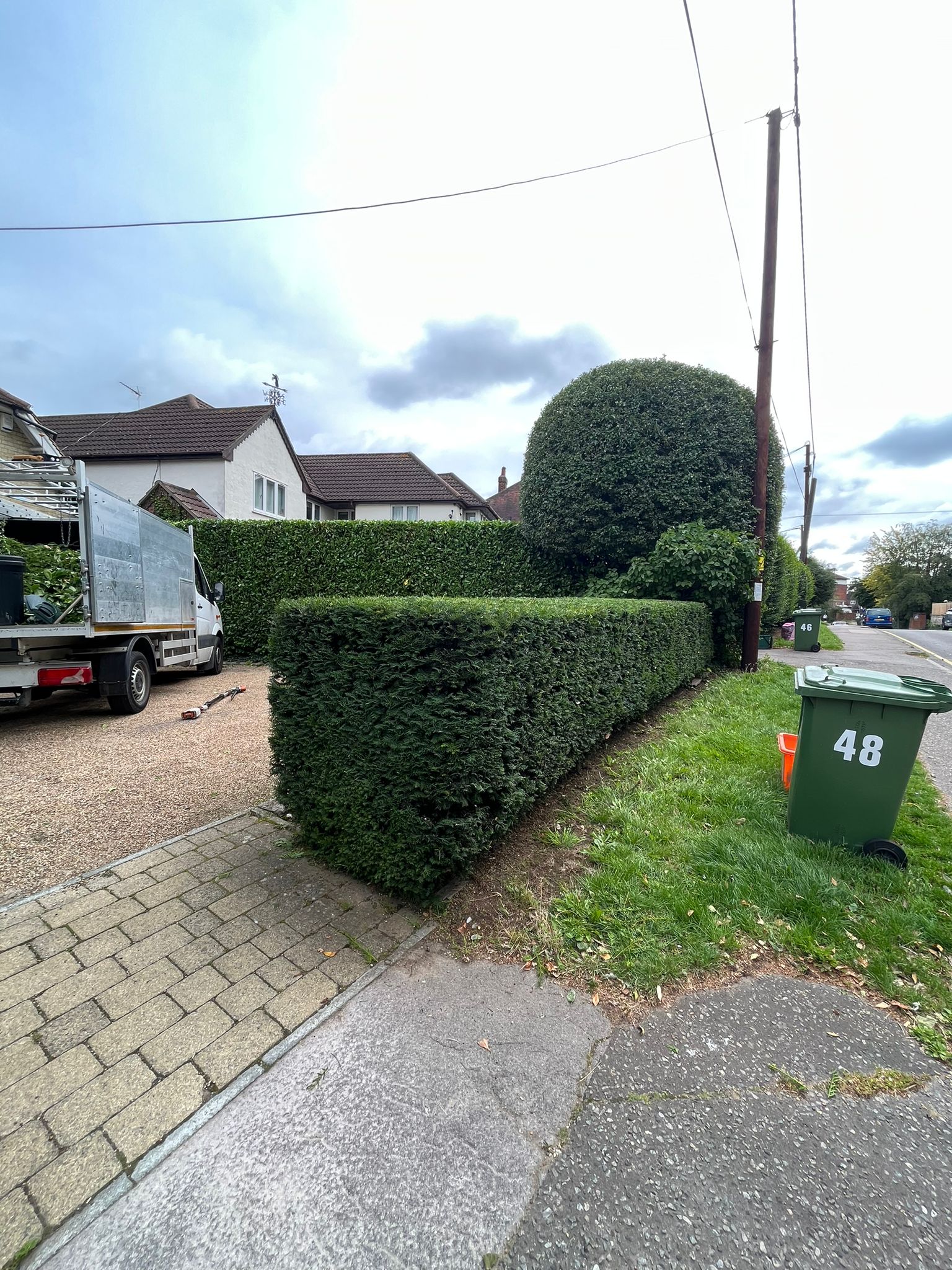 Everest Tree Care